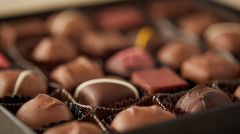 Gourmet Chocolate Anatomical Body Parts - Morkes Chocolates