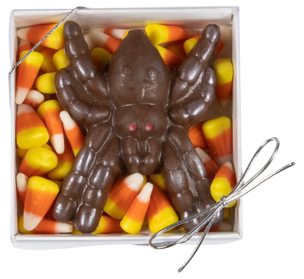 Spider with Candy Corn -- Morkes Chocolates